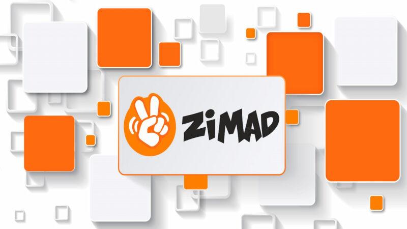 How to sell a game: ZiMAD’s M&A experience, step by step - ZiMAD